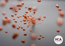 About HCA | Press Corner | Holland Colours