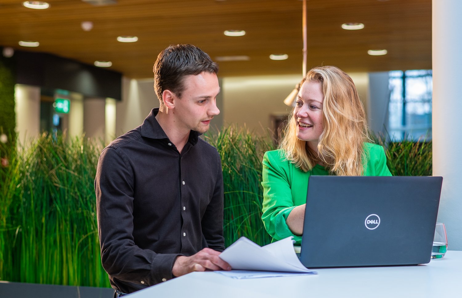 About us | Holland Colours