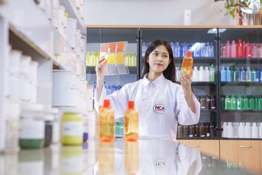 News | Holland Colours