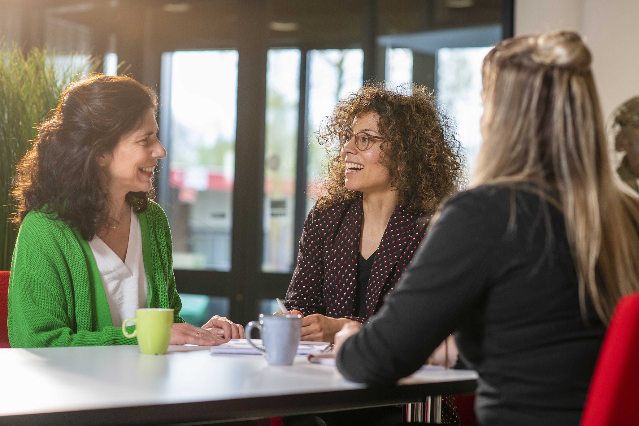 Contact us | Holland Colours